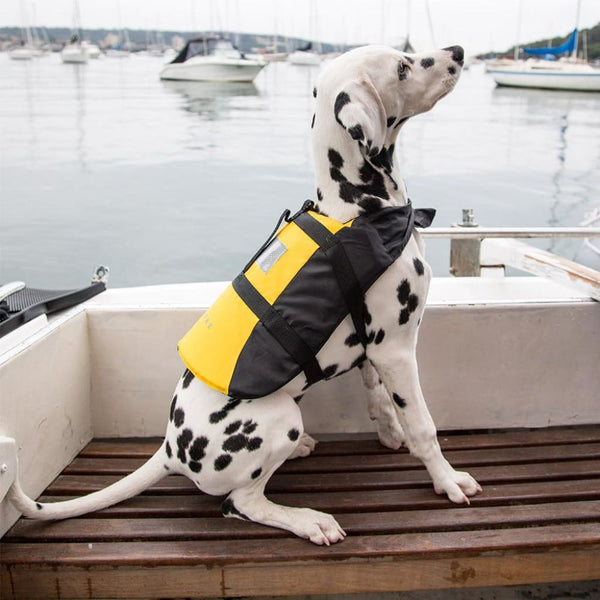 Burke Pet Lifejacket - Outdoor Adventure South West Rocks